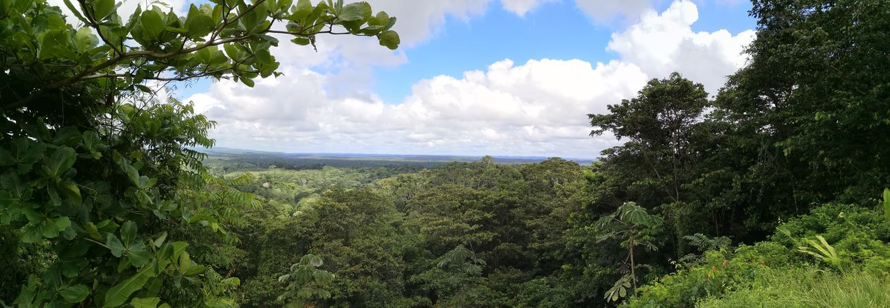 guyane flore faune 2019 - NOS VOYAGES DANS LE MONDENOS VOYAGES DANS LE ...